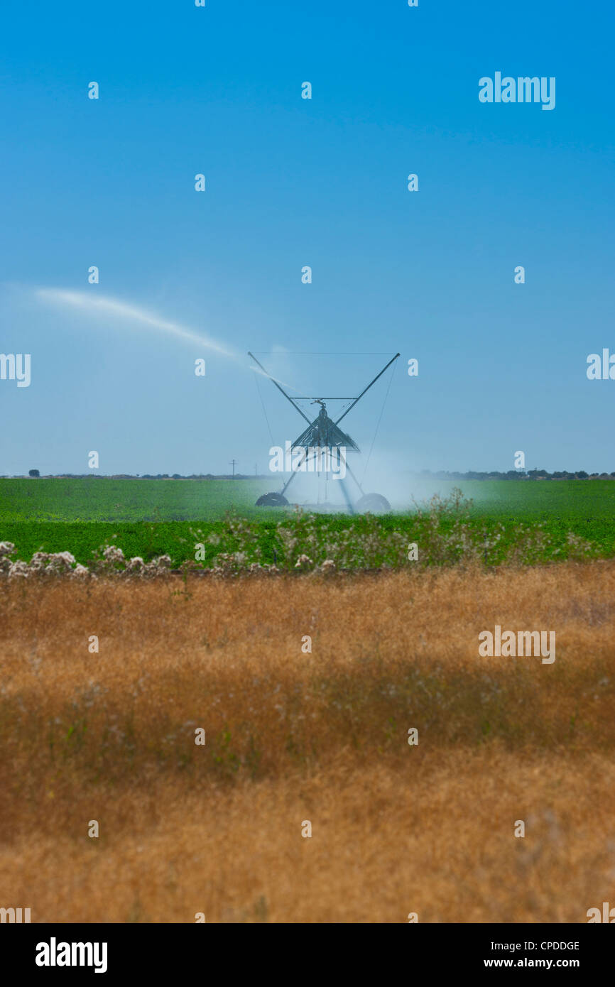 Sprinkler watering crops in field Stock Photo - Alamy