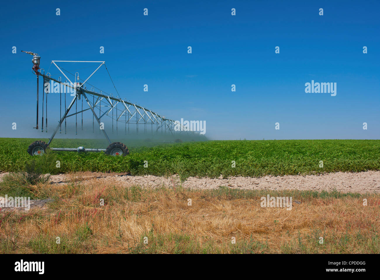 Watering crops hi-res stock photography and images - Alamy