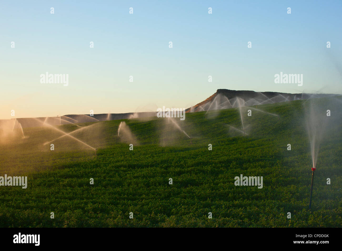 Watering crops hi-res stock photography and images - Alamy