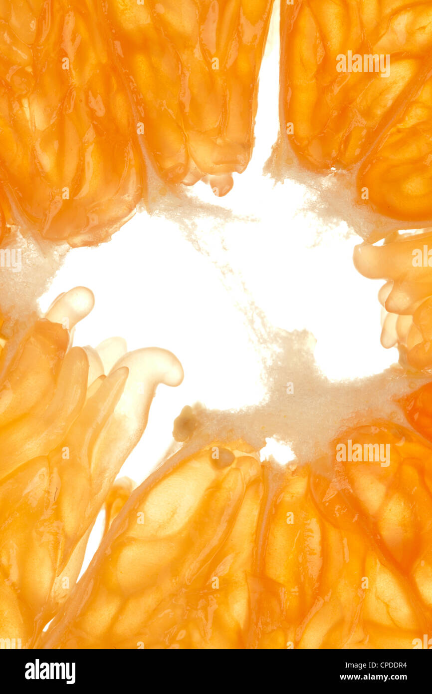 Extreme macro of the core of an orange Stock Photo - Alamy
