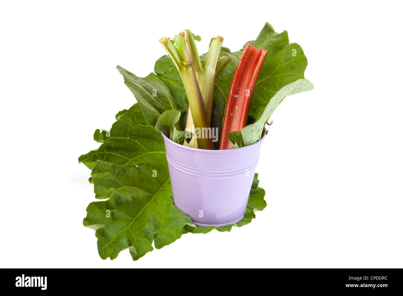 Rhubarb stalks in a pink metal bucket Stock Photo - Alamy