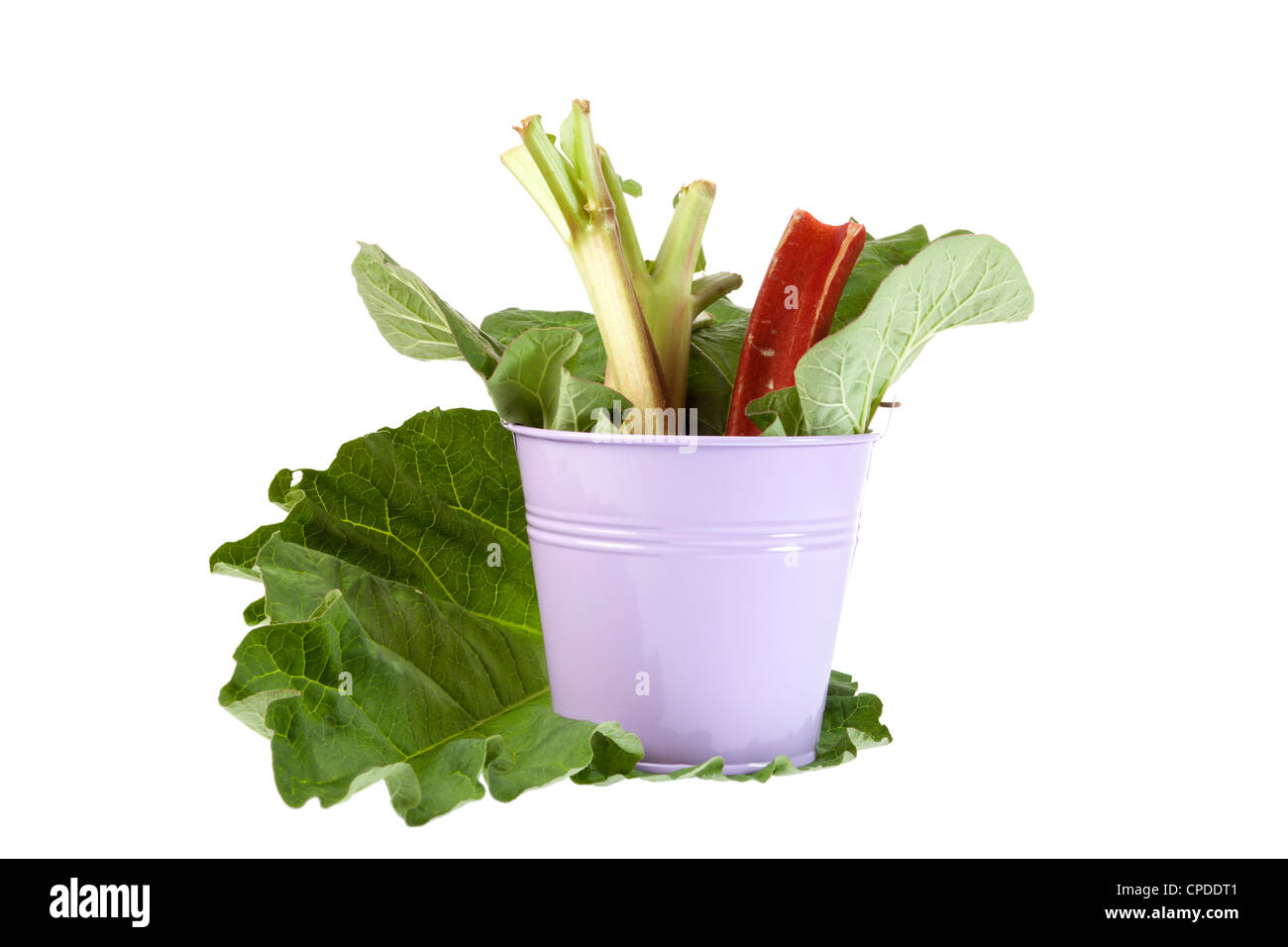Rhubarb stalks in a pink metal bucket Stock Photo - Alamy