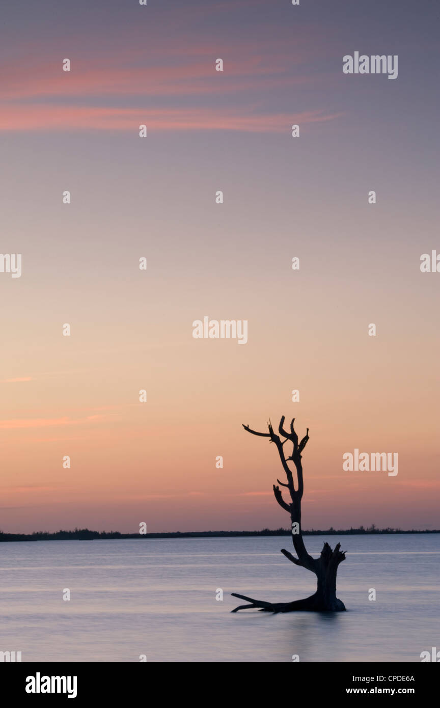 Harbour island eleuthera bahamas bahamas hi-res stock photography and ...