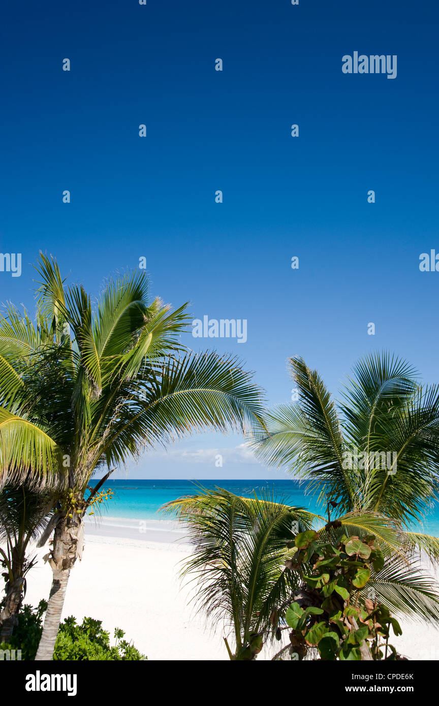Eleuthera bahamas hi-res stock photography and images - Alamy