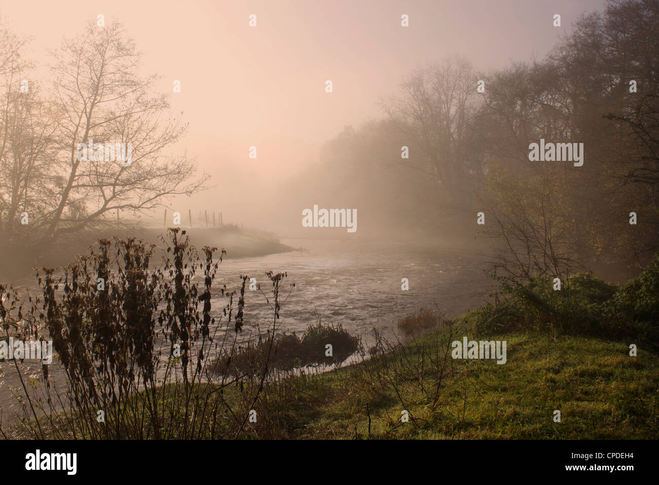 Misty morning, Exe Valley, Devon, England, United Kingdom, Europe Stock ...