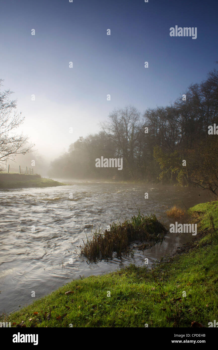Misty morning, Exe Valley, Devon, England, United Kingdom, Europe Stock ...