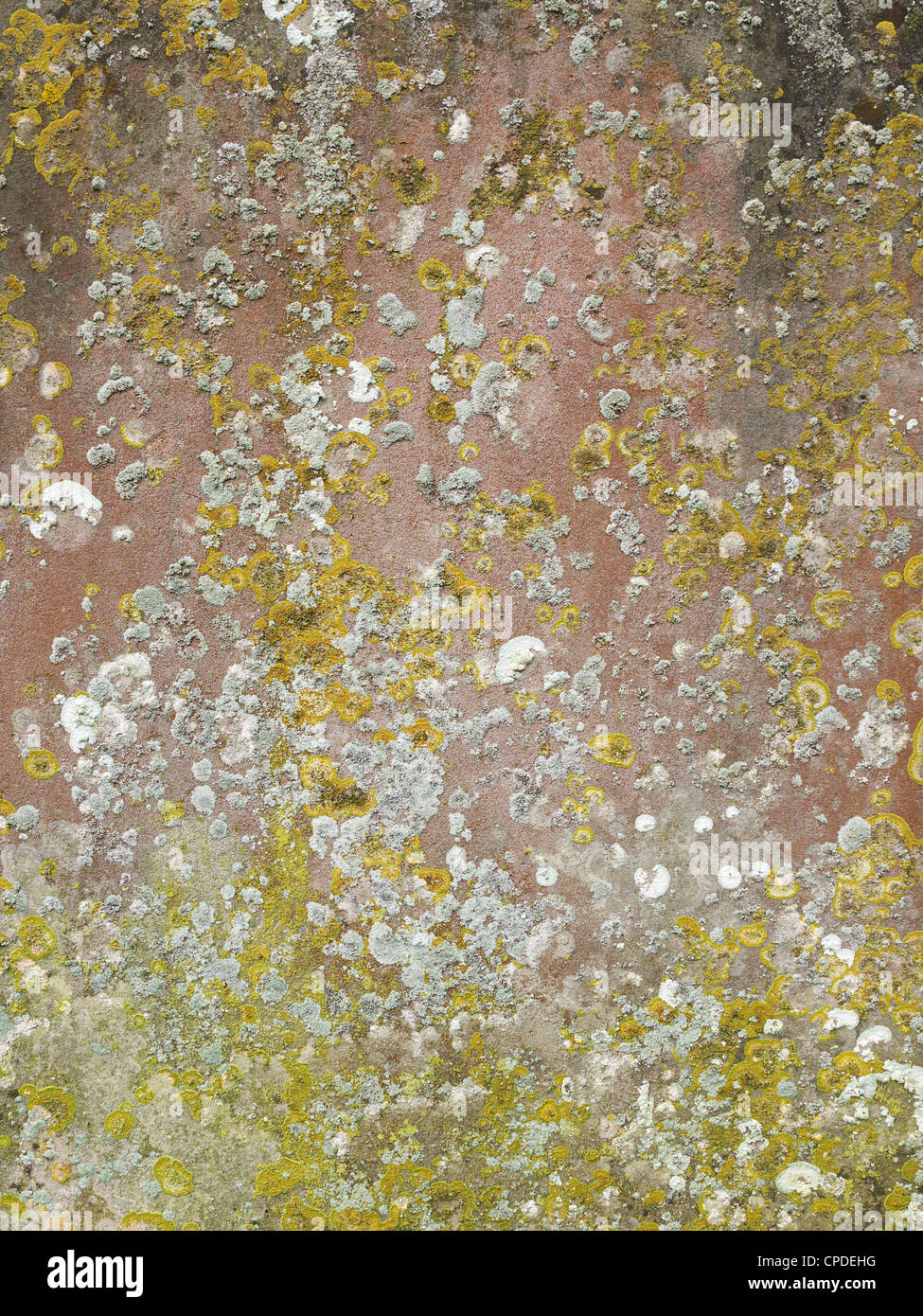 Slab of stone hi-res stock photography and images - Alamy