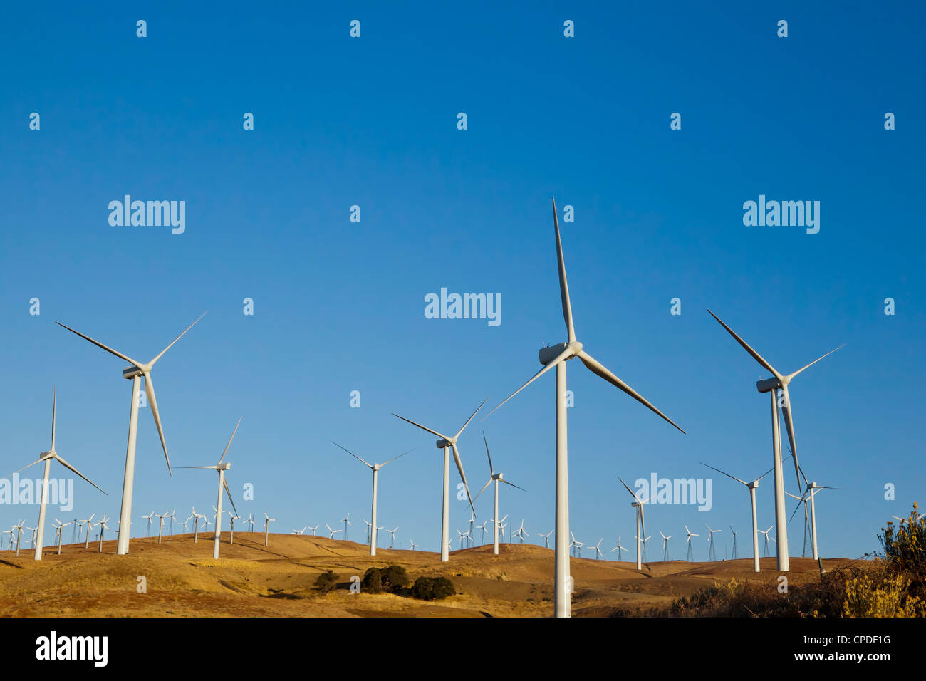 Wind Turbines California High Resolution Stock Photography and Images ...
