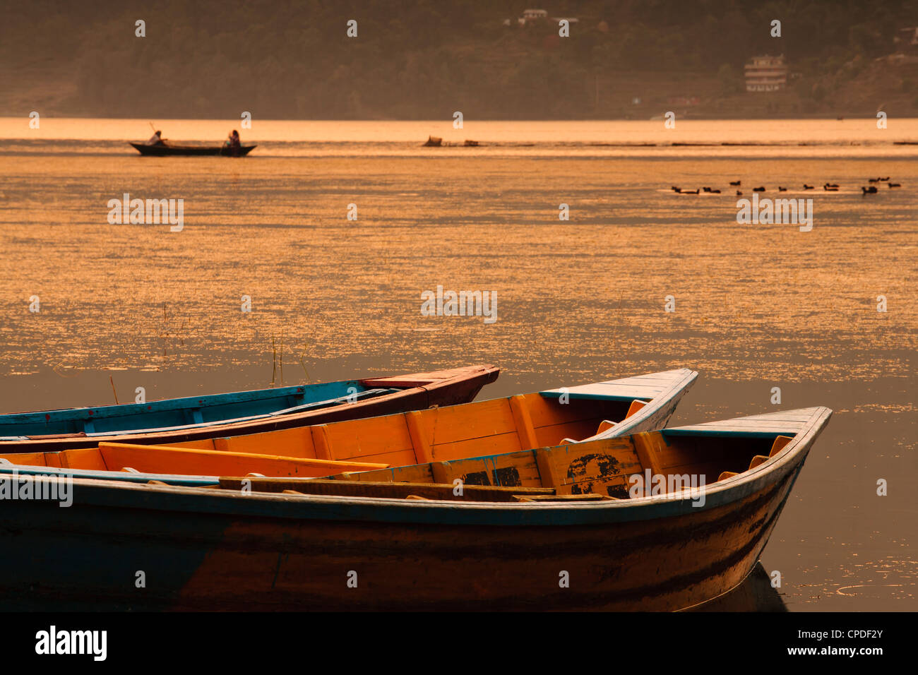 Local fishing boats on Phewa Lake at sunset, Gandak, Nepal, Asia Stock ...