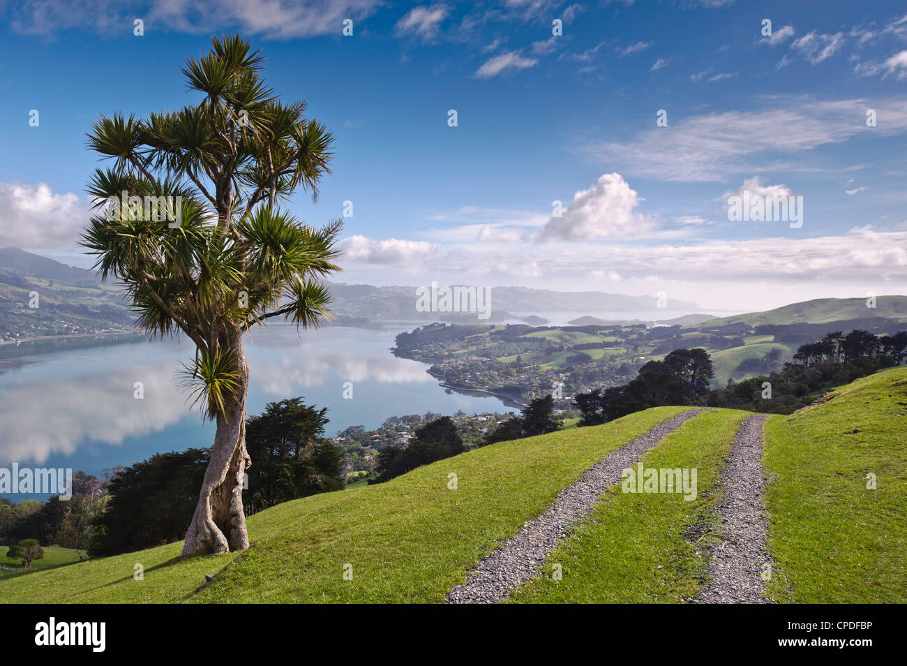 Otago Harbour, Otago Peninsula, Otago, South Island, New Zealand ...