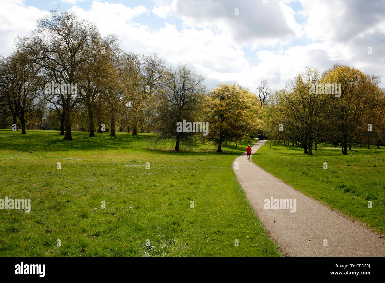 Footpath running across The Meadow in Hyde Park, London, UK Stock Photo ...