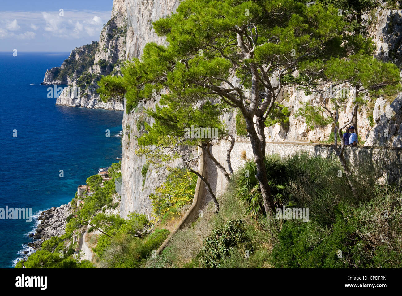 Cliffs near Capri town, Capri Island, Bay of Naples, Campania, Italy ...