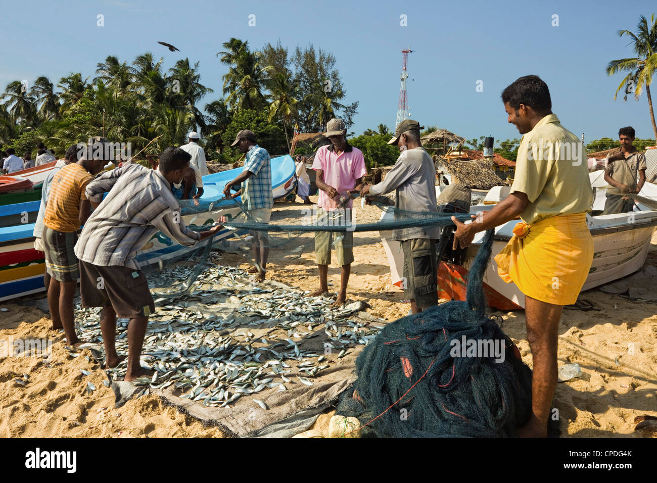 Fishermen with fish in nets on this popular surf beach, badly hit by ...