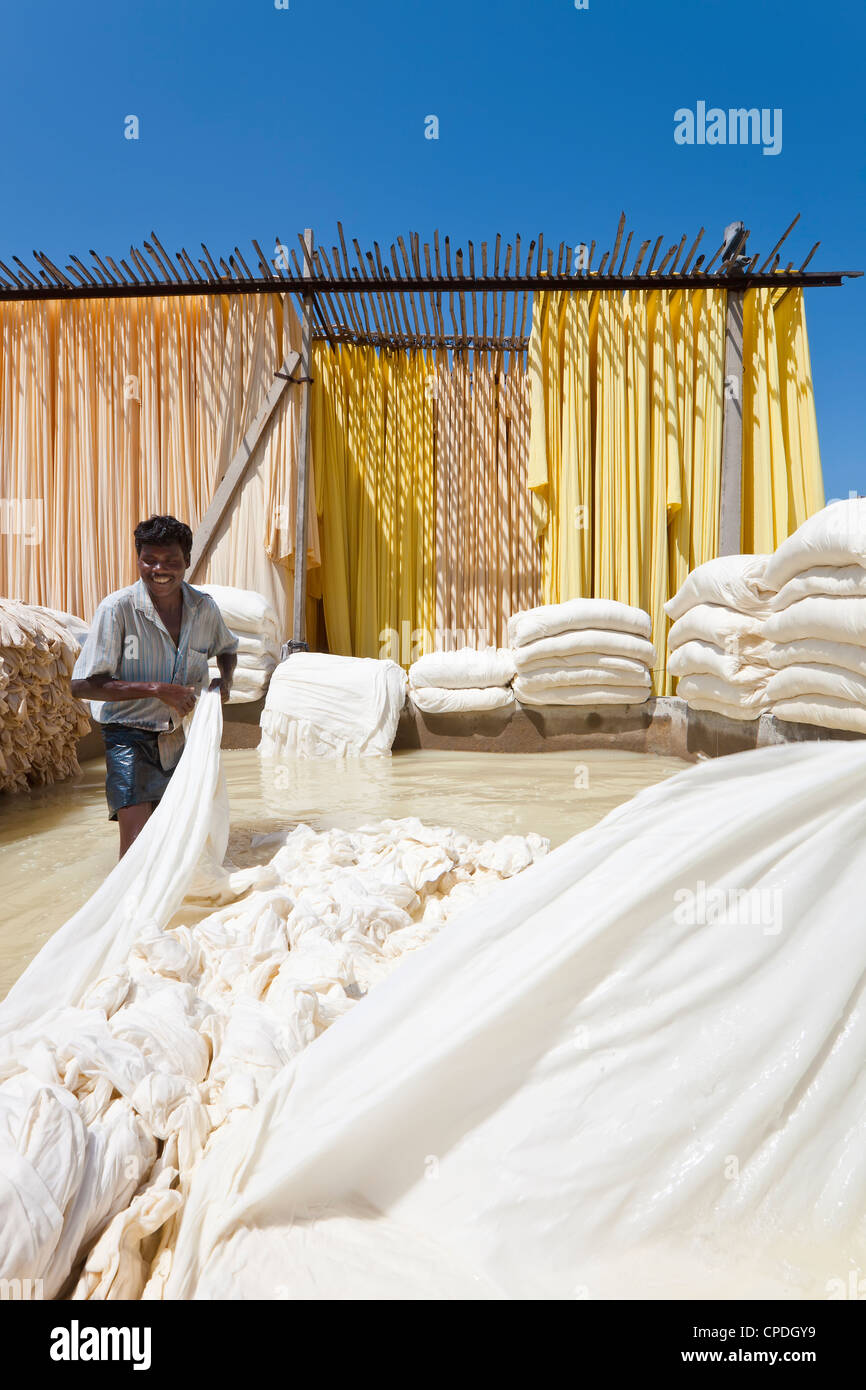 Washing fabric in a bleaching pool, Sari garment factory, Rajasthan ...