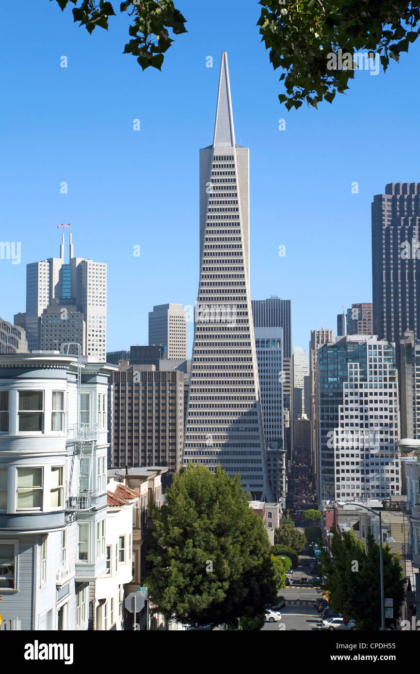 Trans America Building, San Francisco, California, United States of ...
