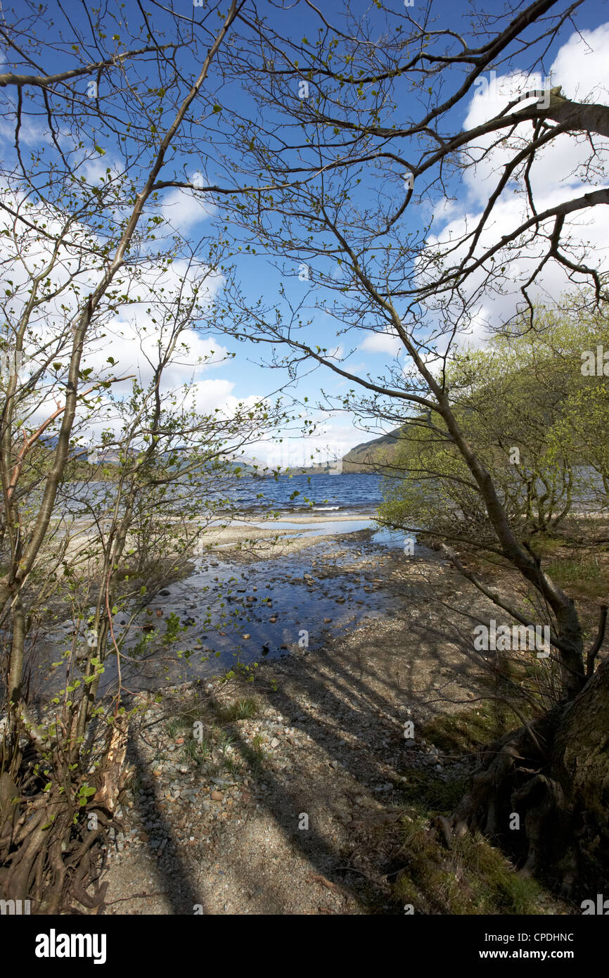 small burn stream flowing into Loch Lomond through trees Scotland UK ...