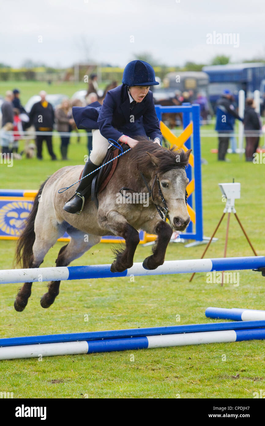 A horse and rider competing in a show jumping event held outside on a ...