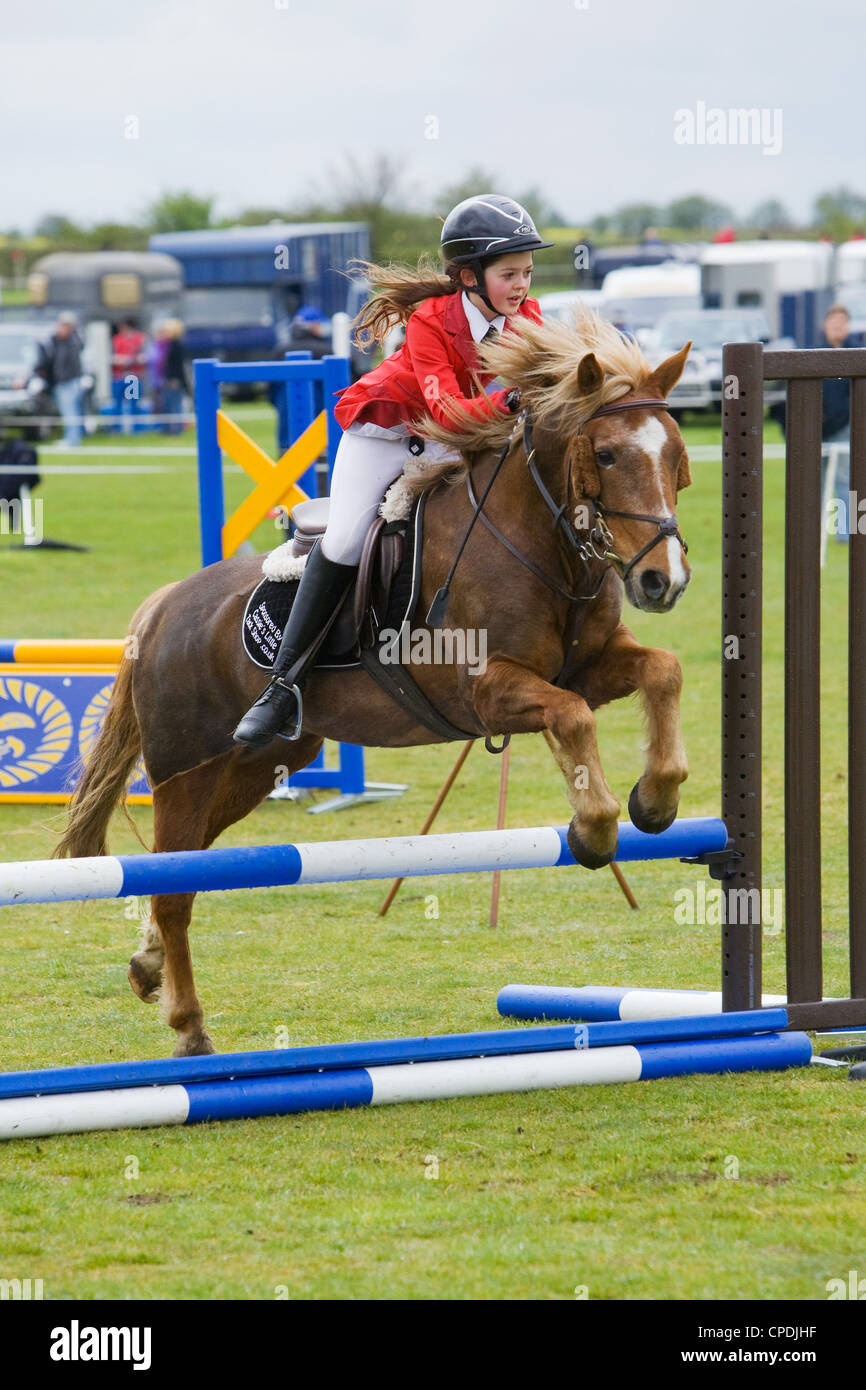 A horse and rider competing in a show jumping event held outside on a ...