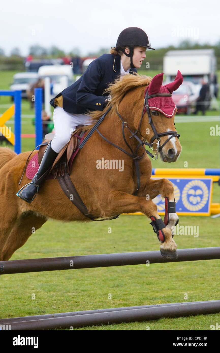 A horse and rider competing in a show jumping event held outside on a ...