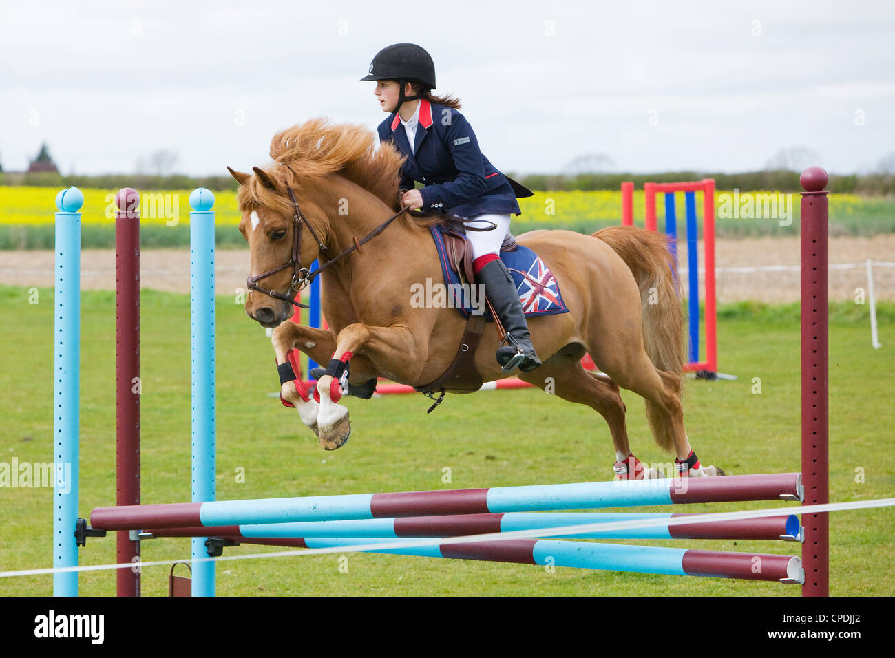 A horse and rider competing in a show jumping event held outside on a ...