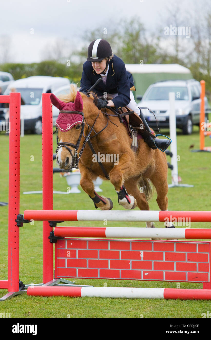 A horse and rider competing in a show jumping event held outside on a ...