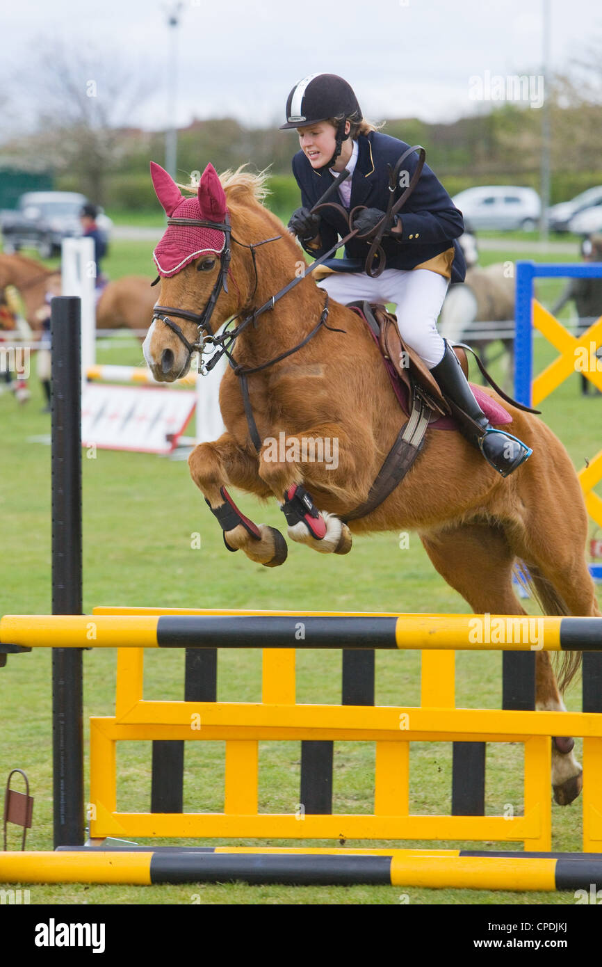 A horse and rider competing in a show jumping event held outside on a ...