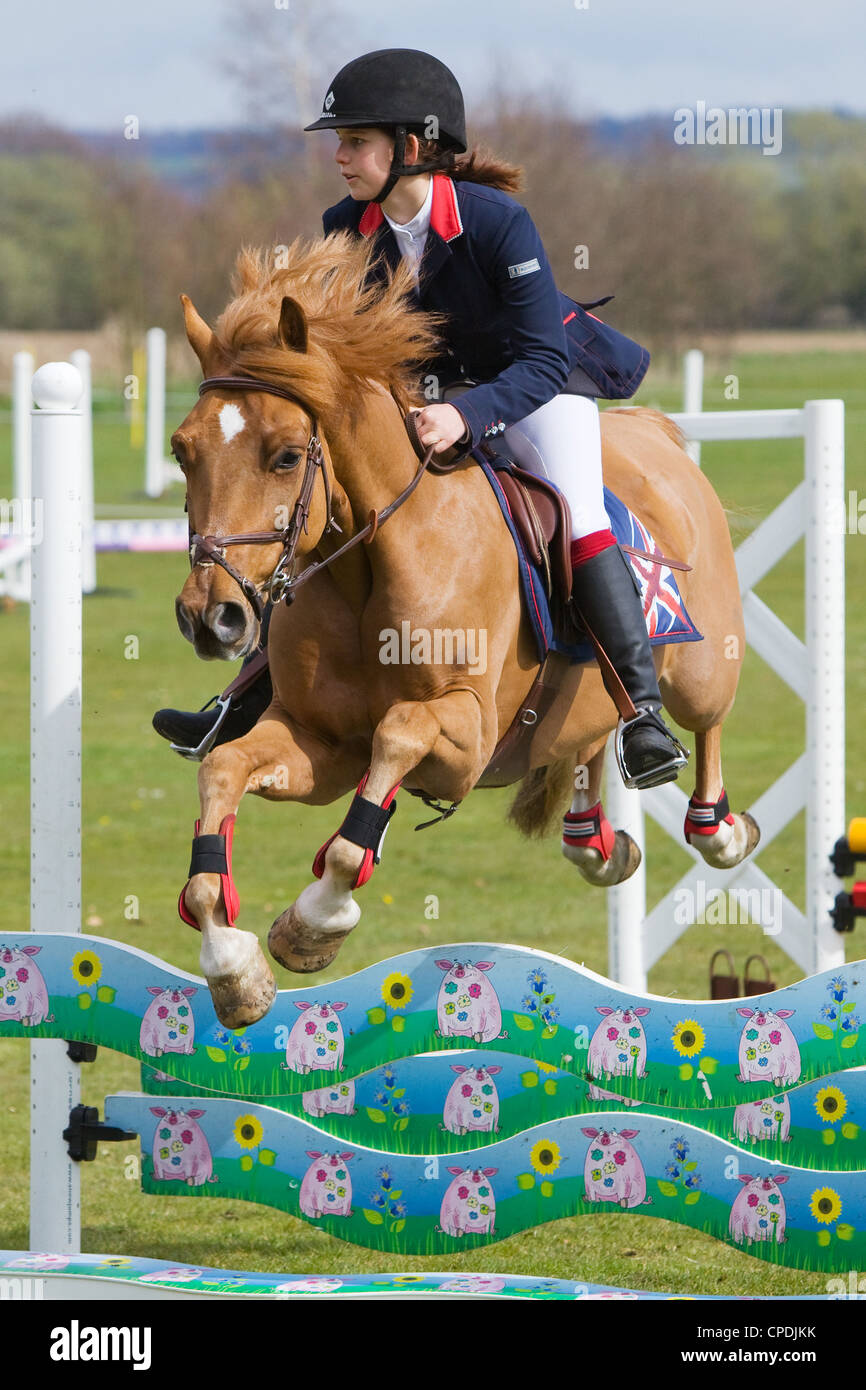 A horse and rider competing in a show jumping event held outside on a ...