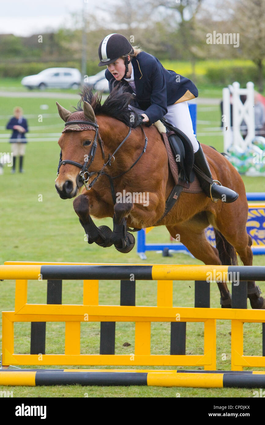 A horse and rider competing in a show jumping event held outside on a ...