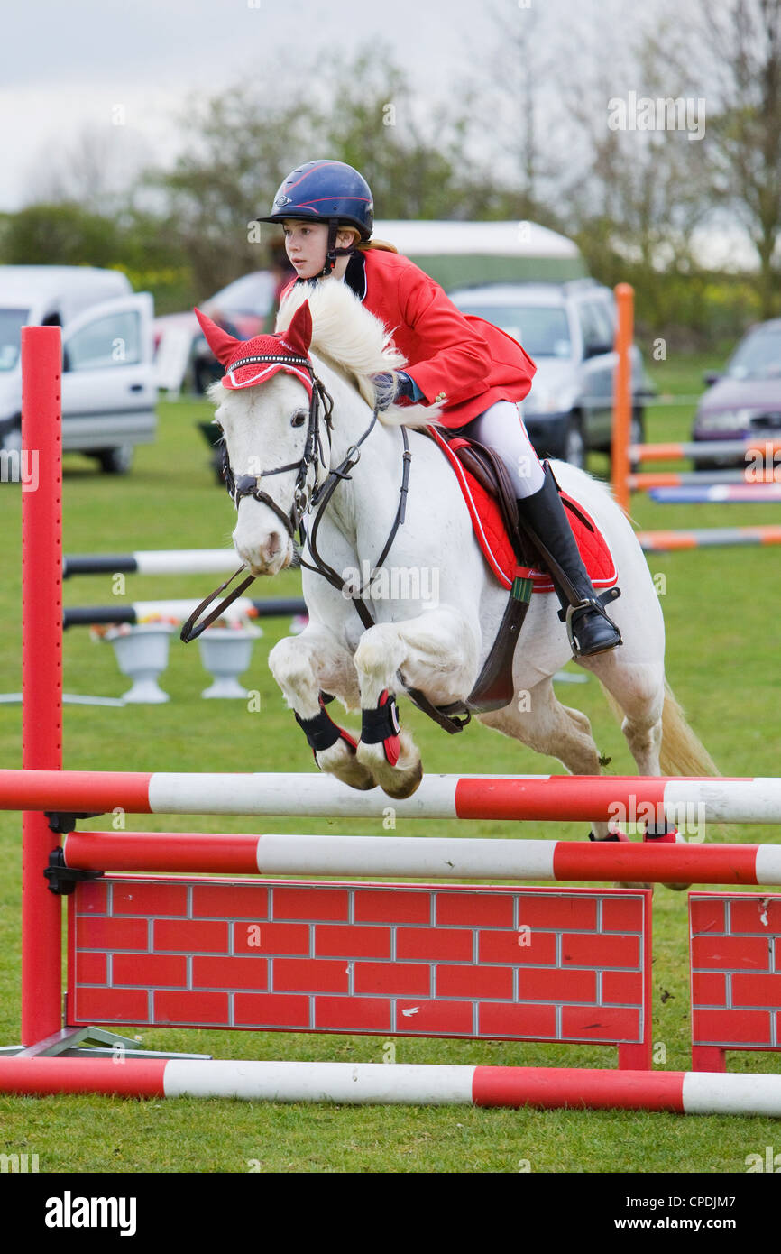 A horse and rider competing in a show jumping event held outside on a ...
