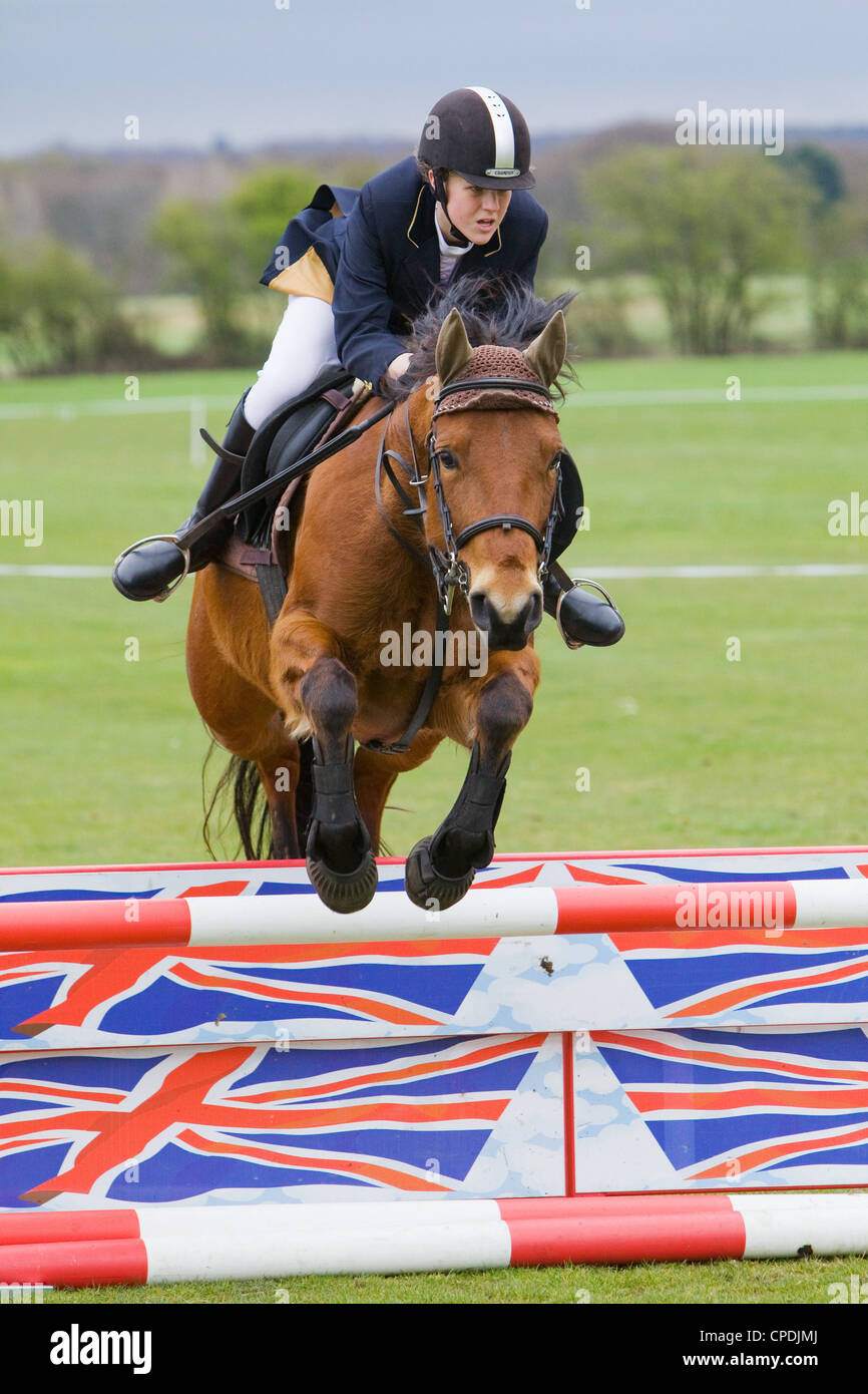 A horse and rider competing in a show jumping event held outside on a ...
