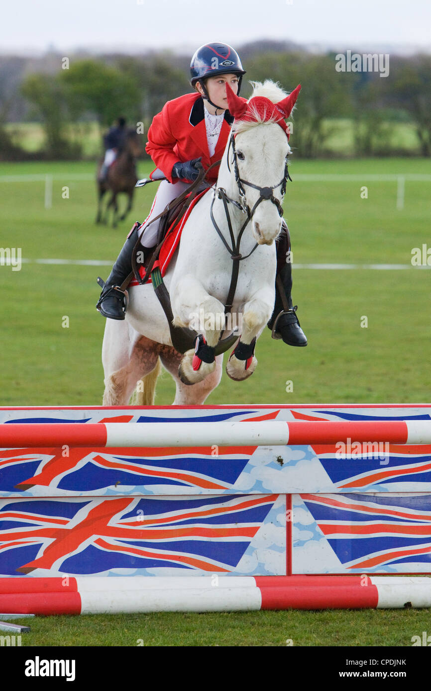 A horse and rider competing in a show jumping event held outside on a ...