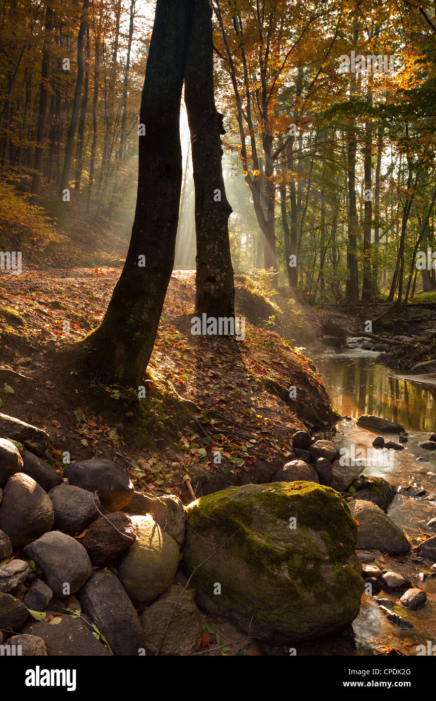 Marys spring hi-res stock photography and images - Alamy