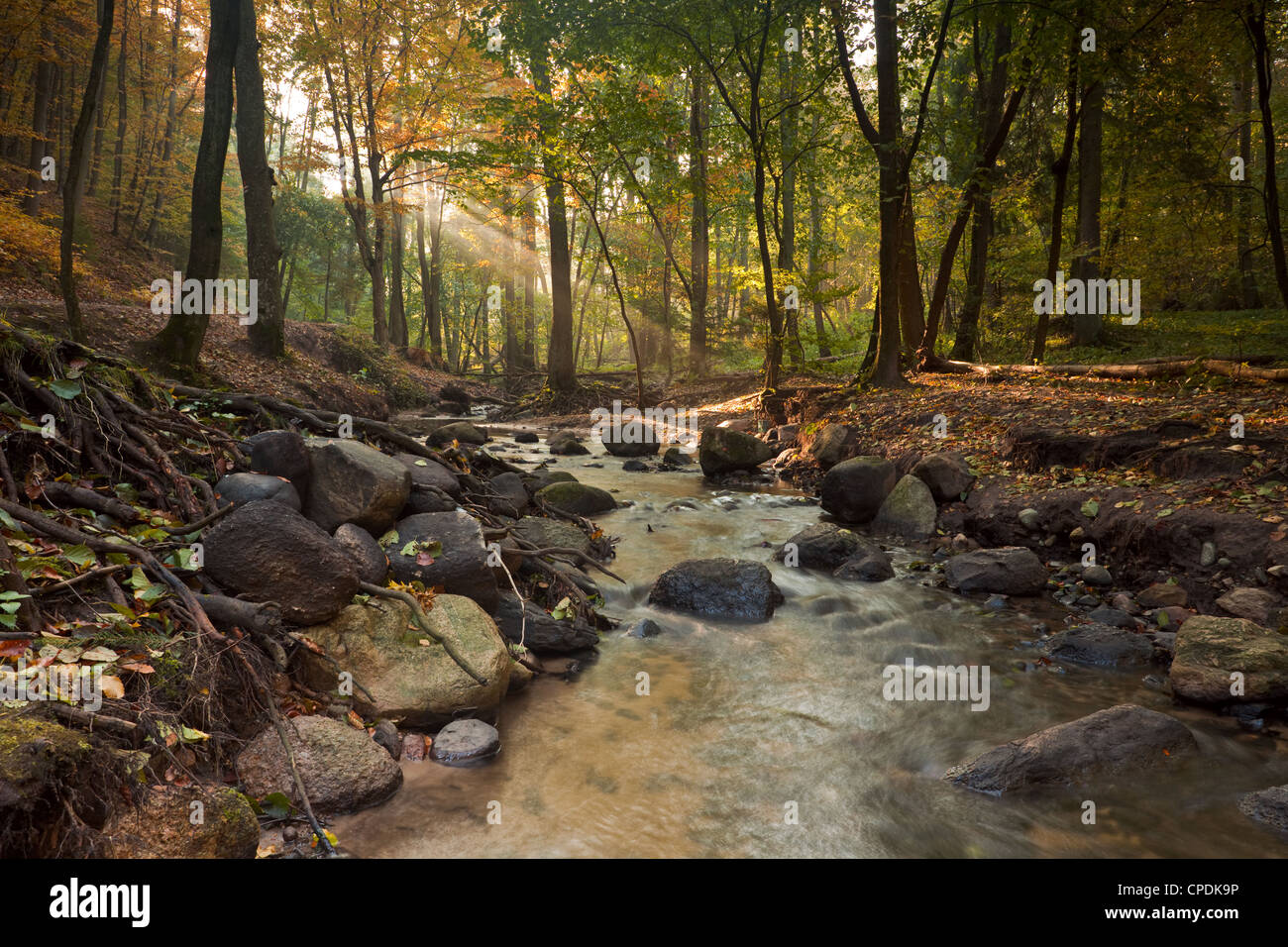 Marys colors hi-res stock photography and images - Alamy