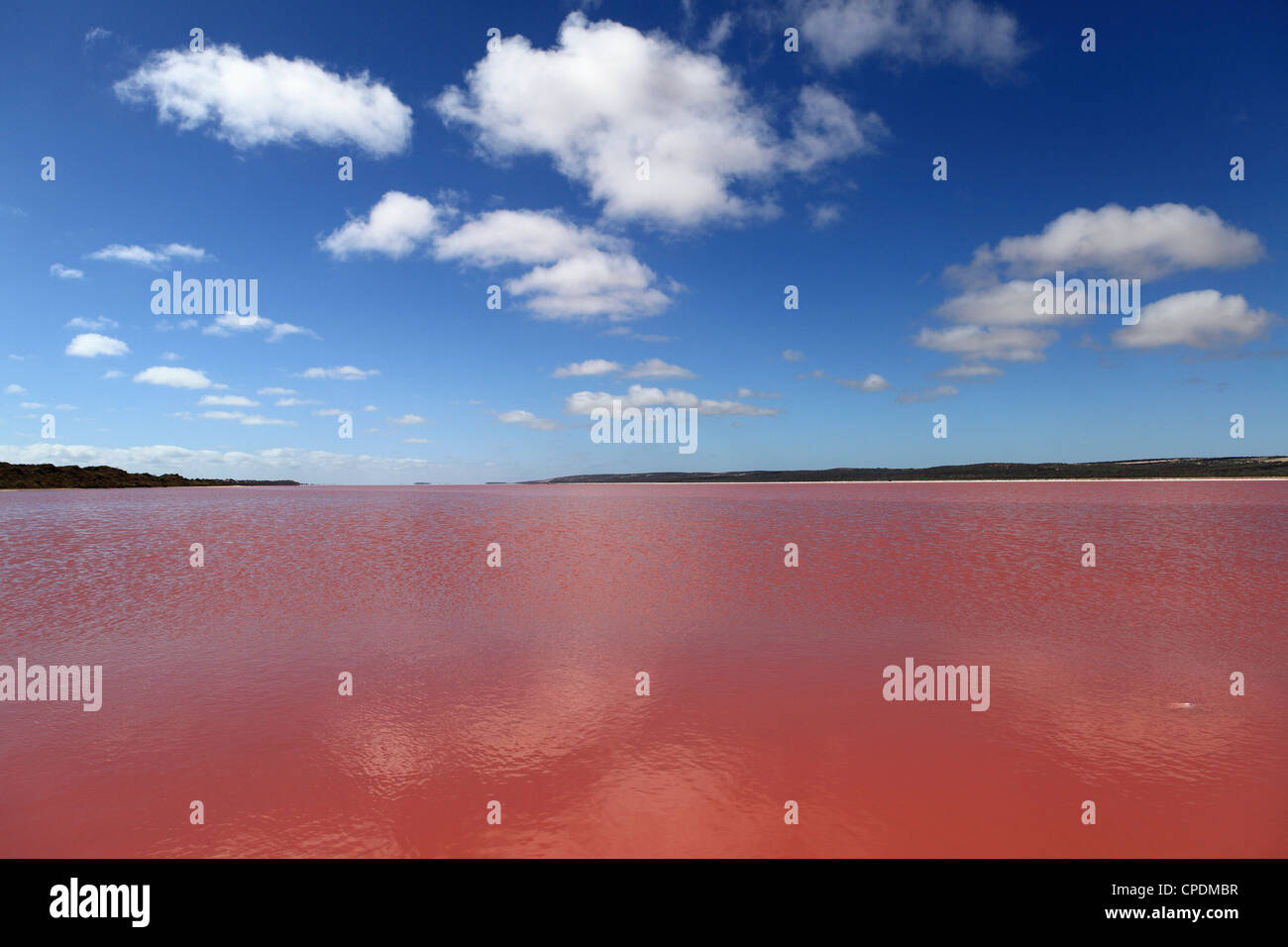 Edible algae provides a pink hue to the Hutt Pink Lagoon, Port Gregory ...