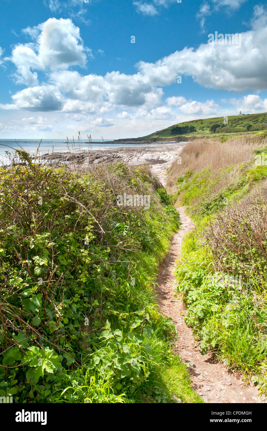 Vegetation shore sea hi-res stock photography and images - Alamy