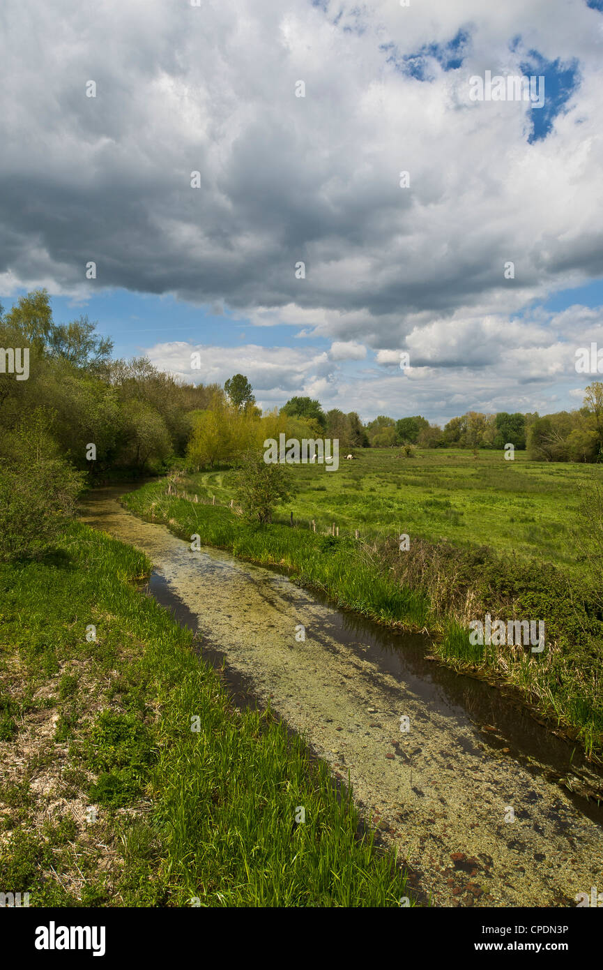 The crystal clear water of a chalk stream in Hampshire UK Stock Photo ...