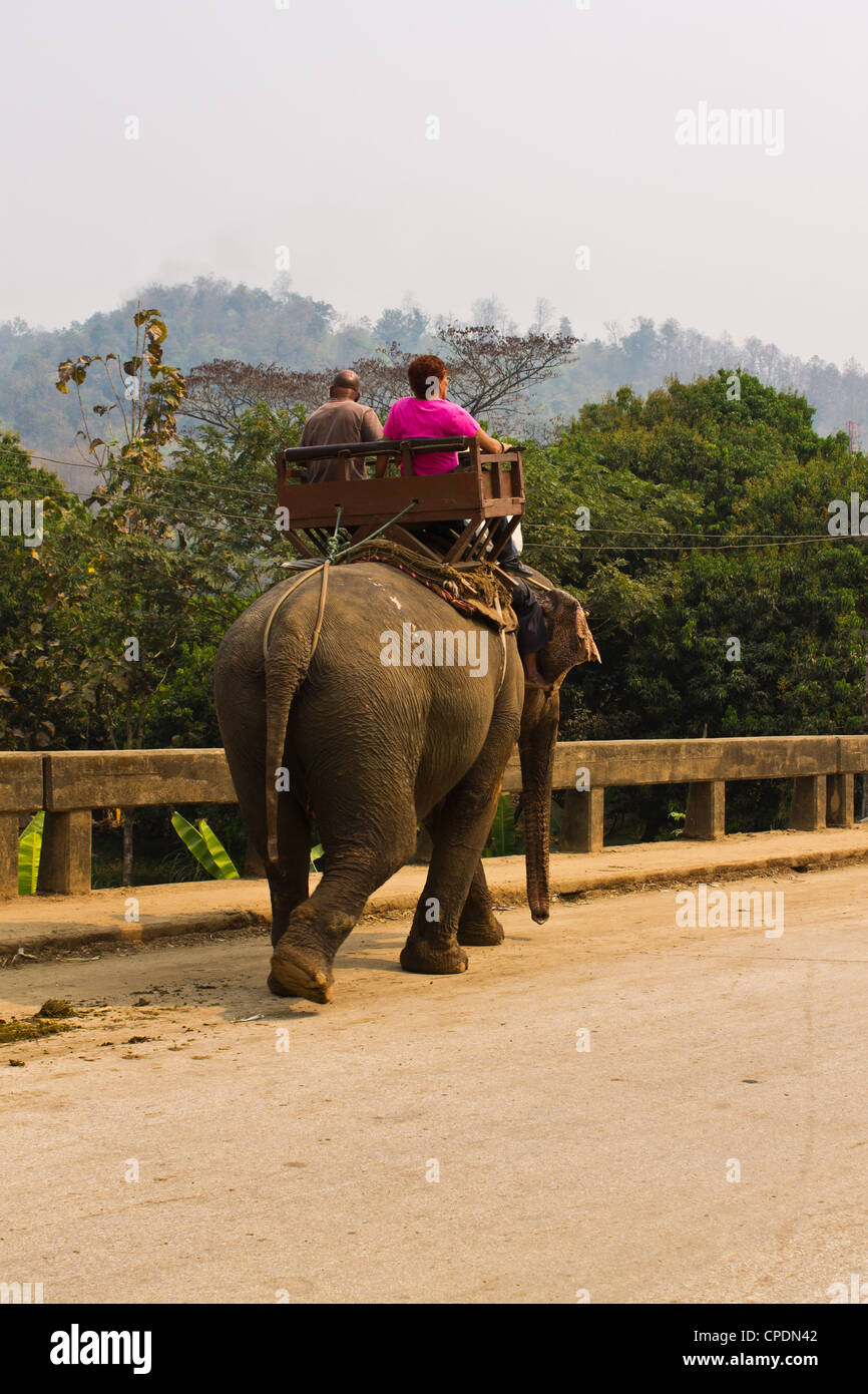 Couple riding an elephant Stock Photo - Alamy