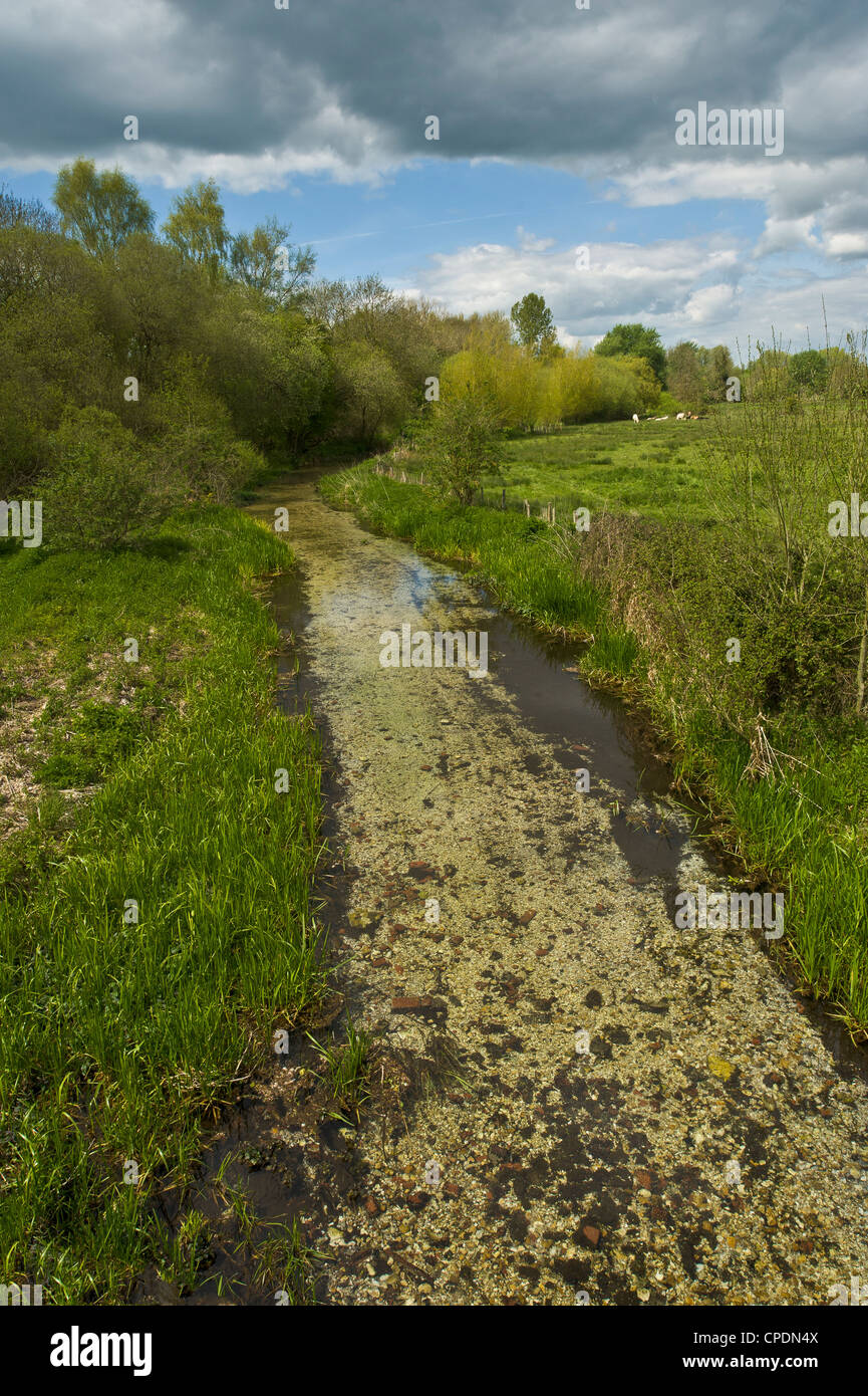 Chalk valley stream uk hi-res stock photography and images - Alamy