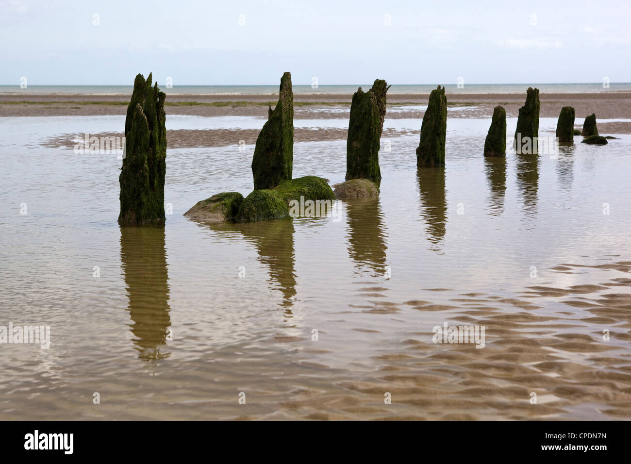 Groin groins hi-res stock photography and images - Alamy