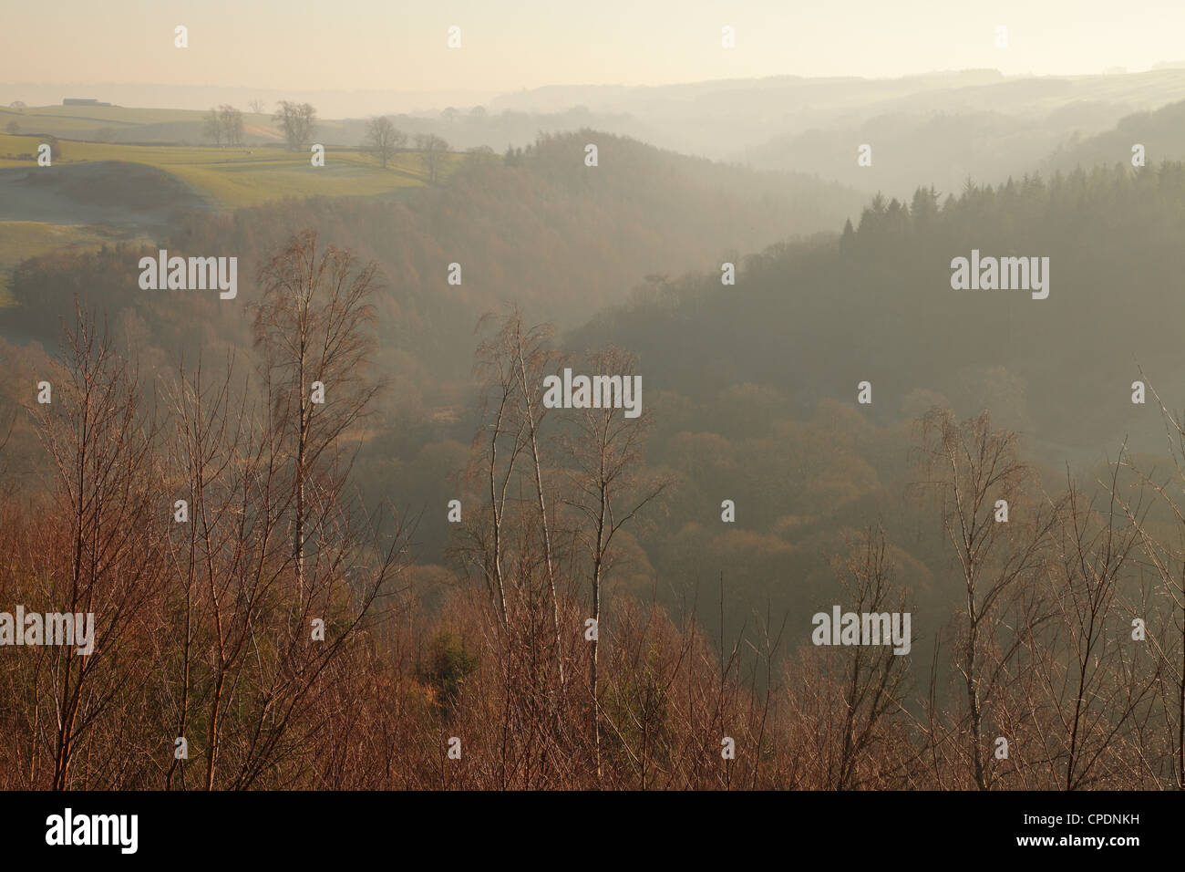 Looking to Baron Wood from Coombs Wood at Armathwaite, Eden Valley ...