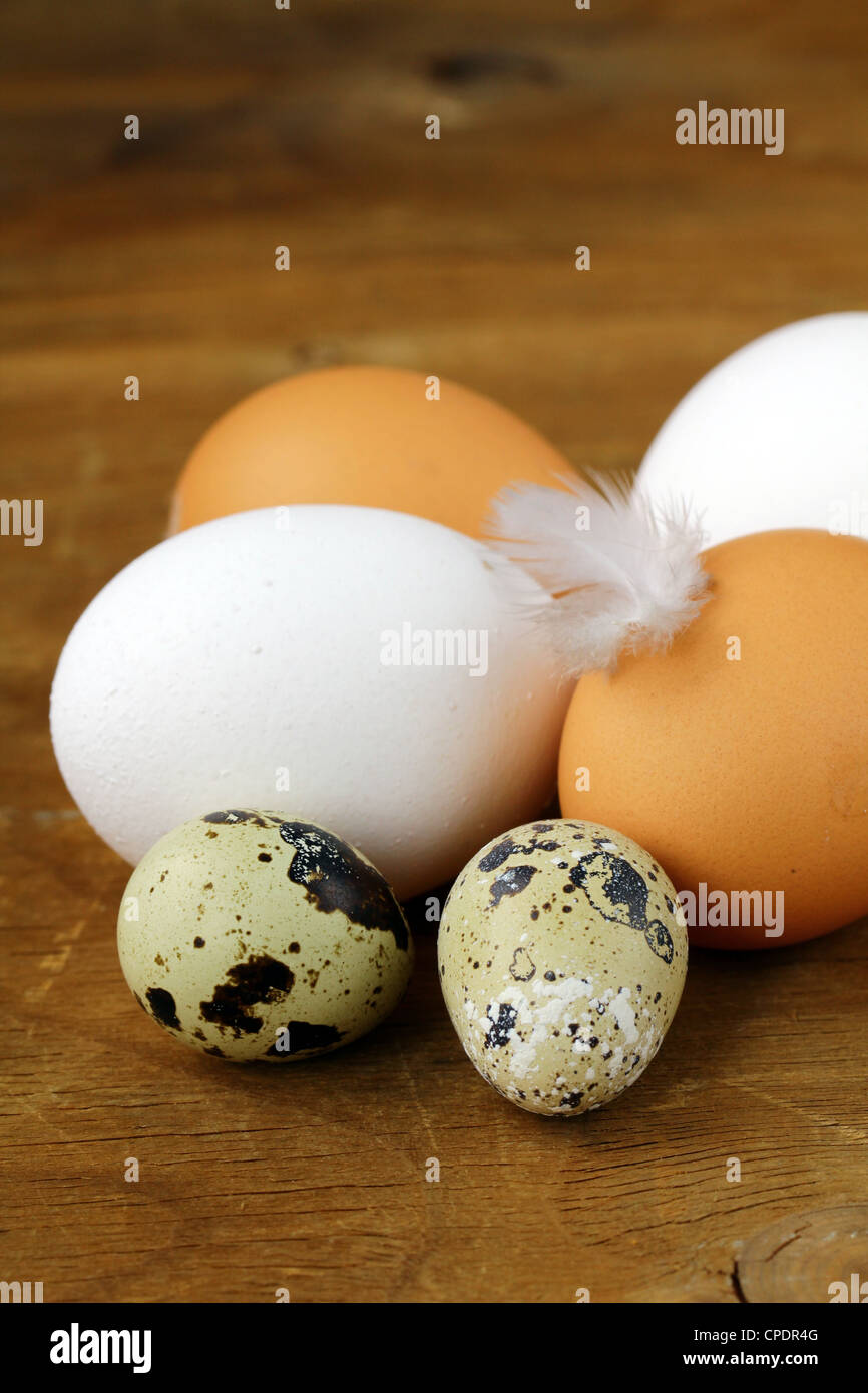 chicken and quail eggs , rustic style Stock Photo - Alamy