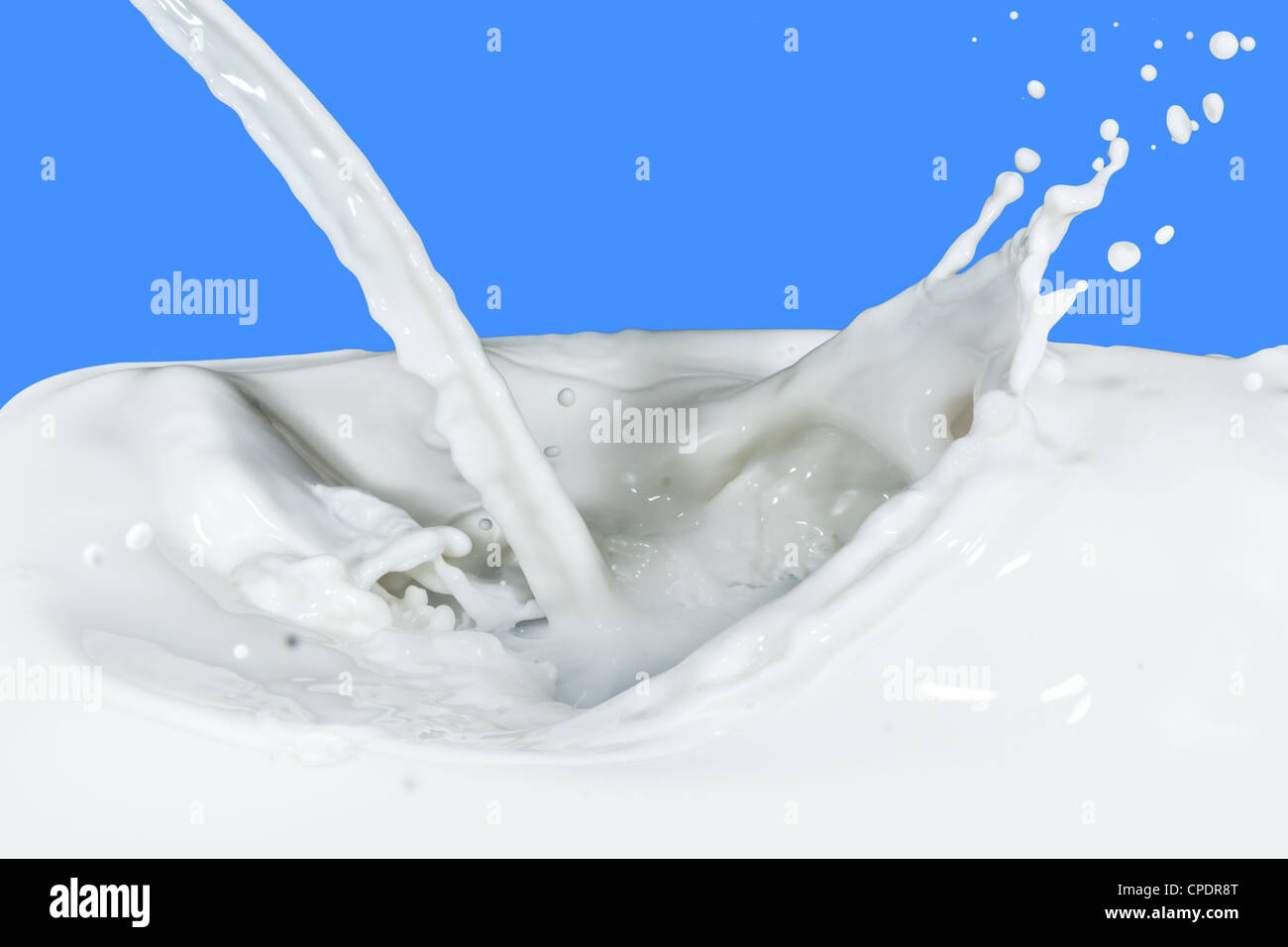 splashing milk isolated on blue background Stock Photo - Alamy