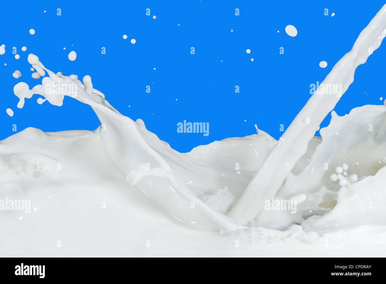 splashing milk isolated on blue background Stock Photo - Alamy