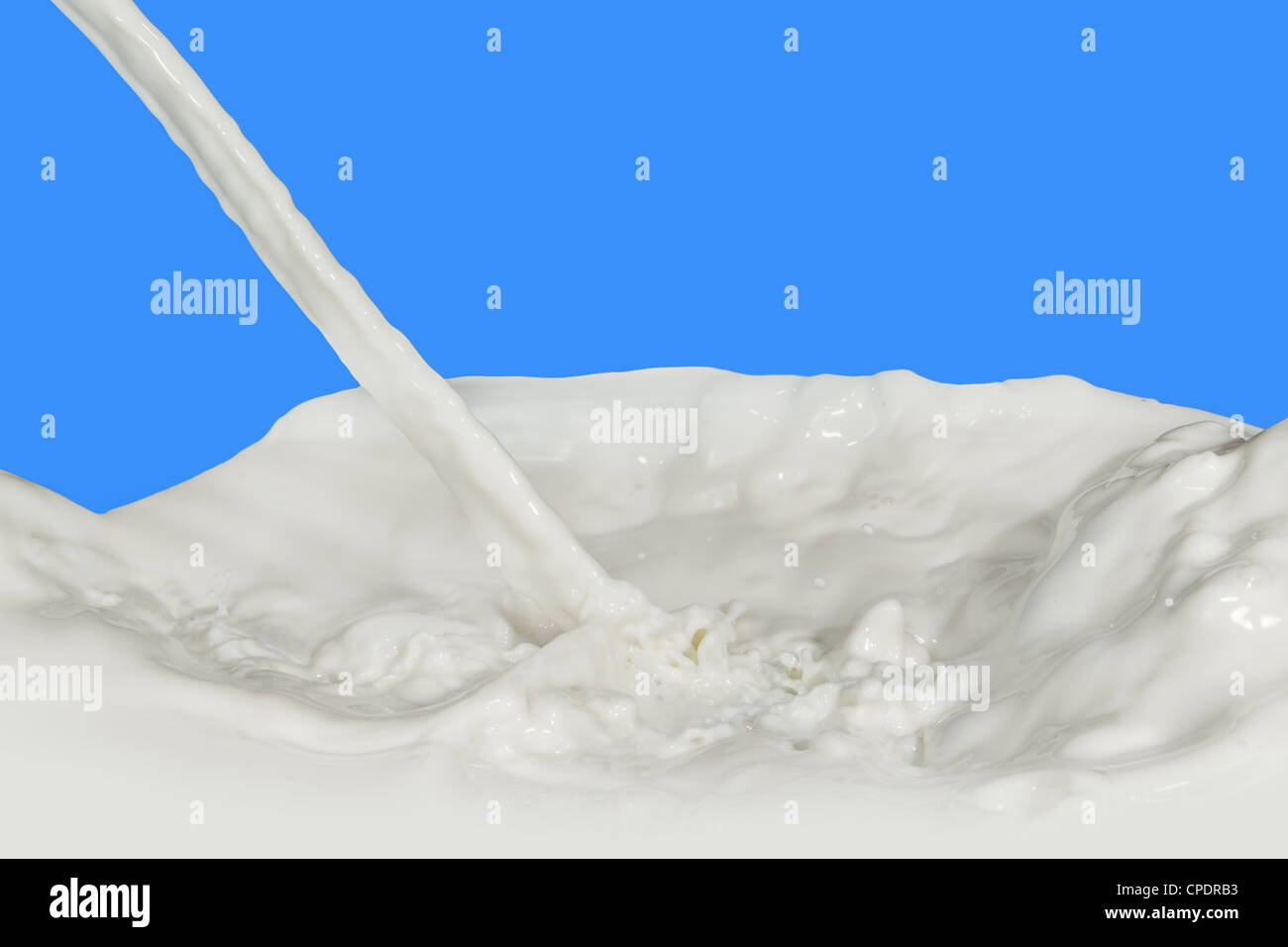 splashing milk isolated on blue background Stock Photo - Alamy