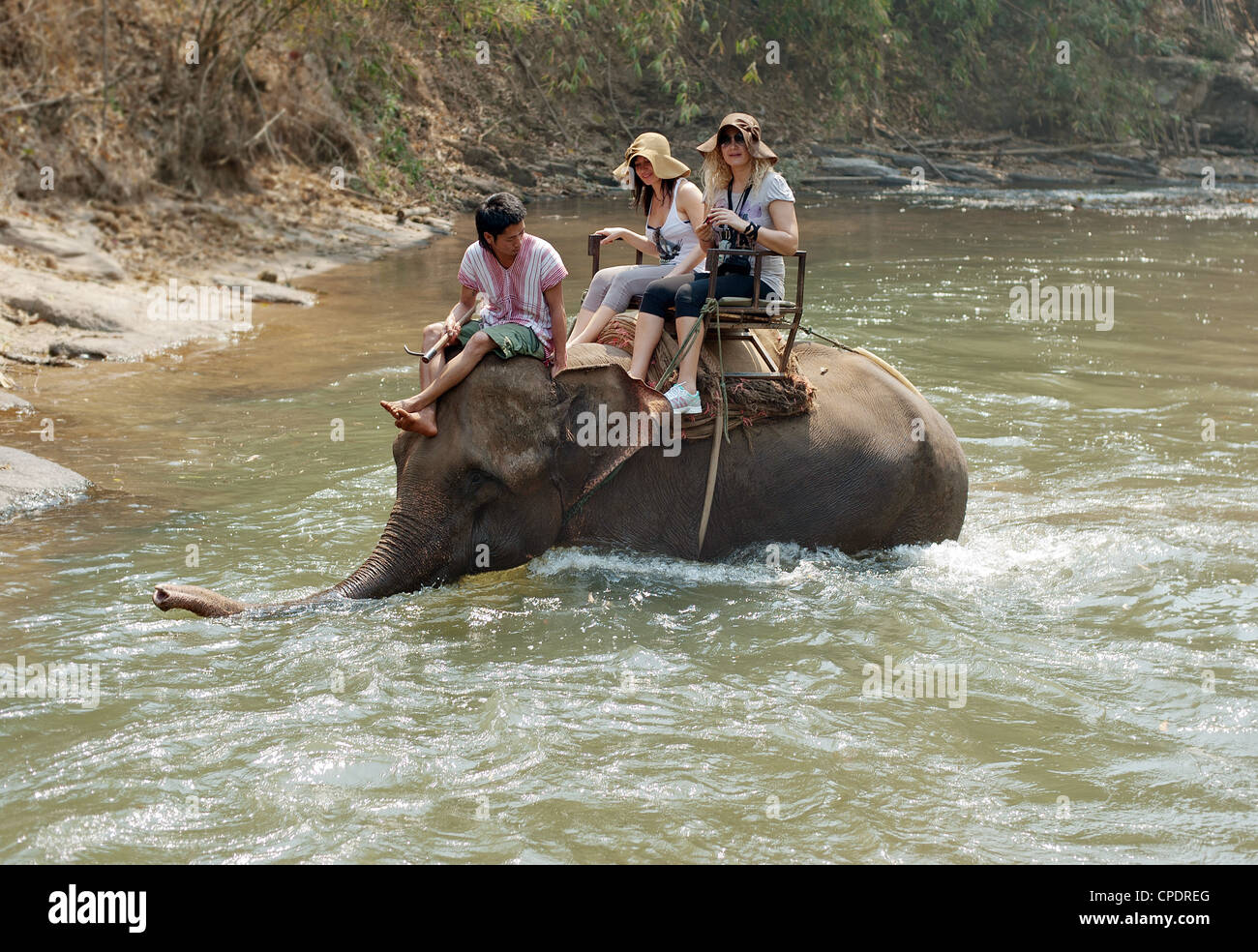 Elephant trekking hi-res stock photography and images - Alamy