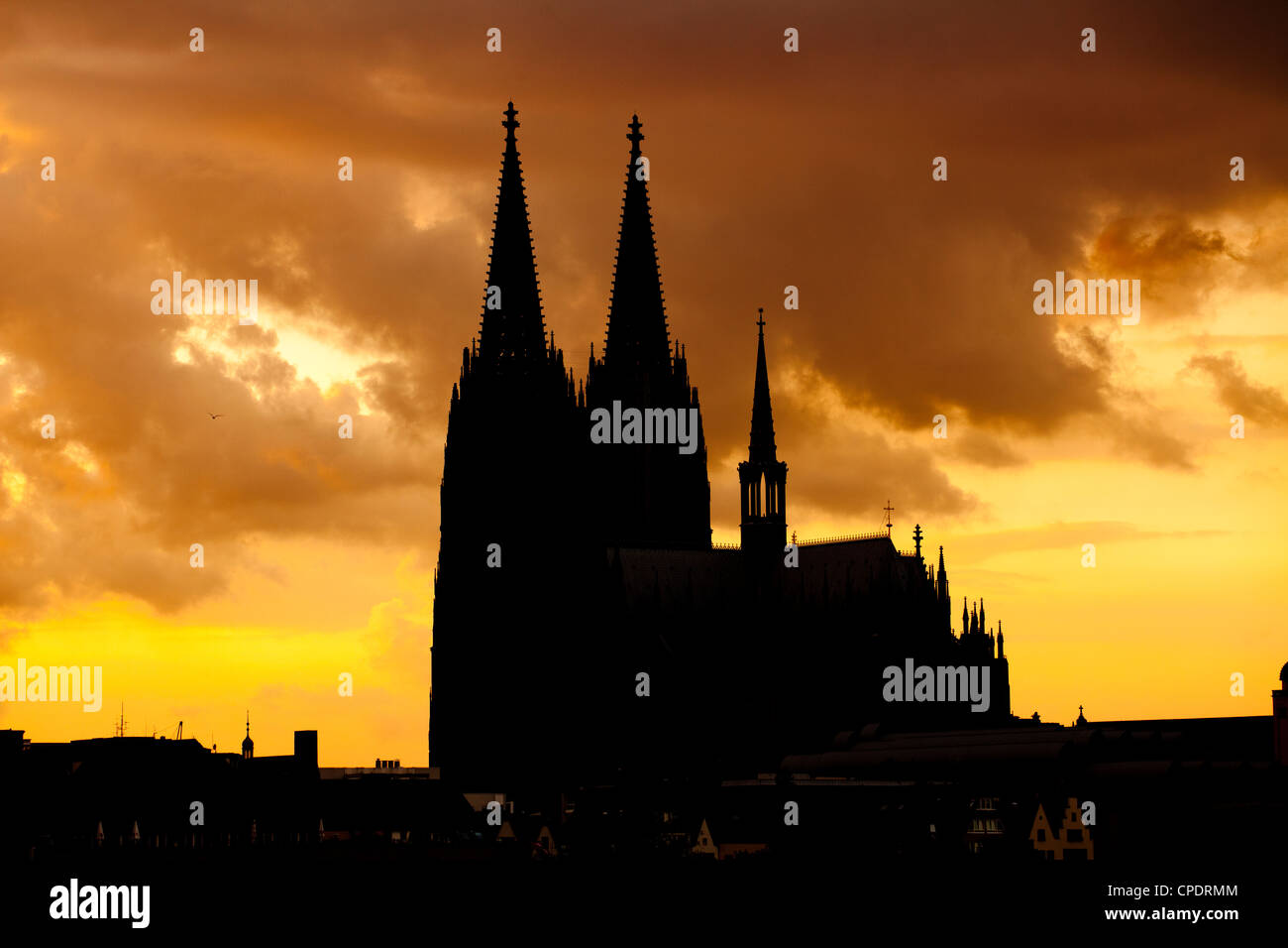 Cologne Cathedral at sunset. Cologne, Germany Stock Photo - Alamy
