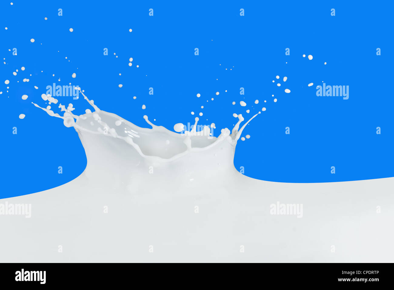 splashing milk isolated on blue background Stock Photo - Alamy