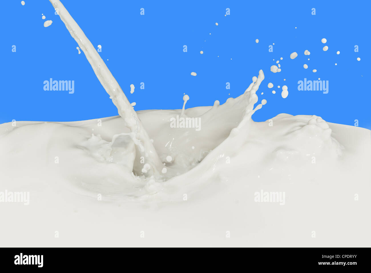 splashing milk isolated on blue background Stock Photo - Alamy