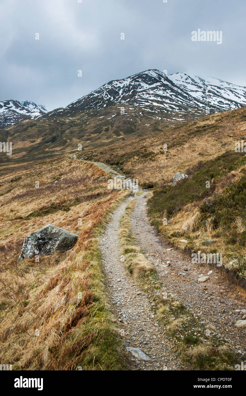Track at Glen Affric, Glen Affric, Highlands, Scotland, UK Stock Photo ...