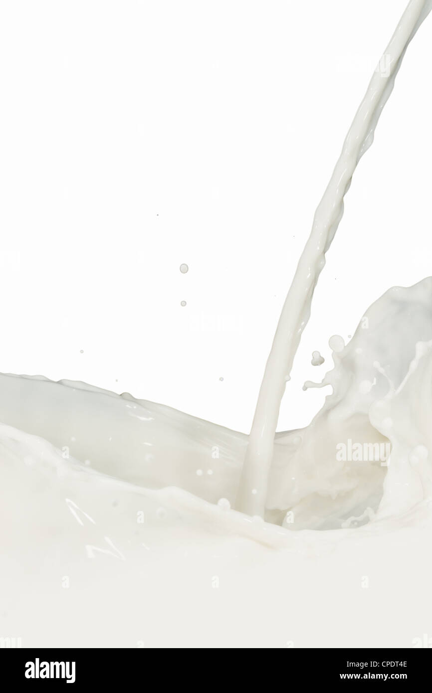 splashing milk isolated on white background Stock Photo - Alamy